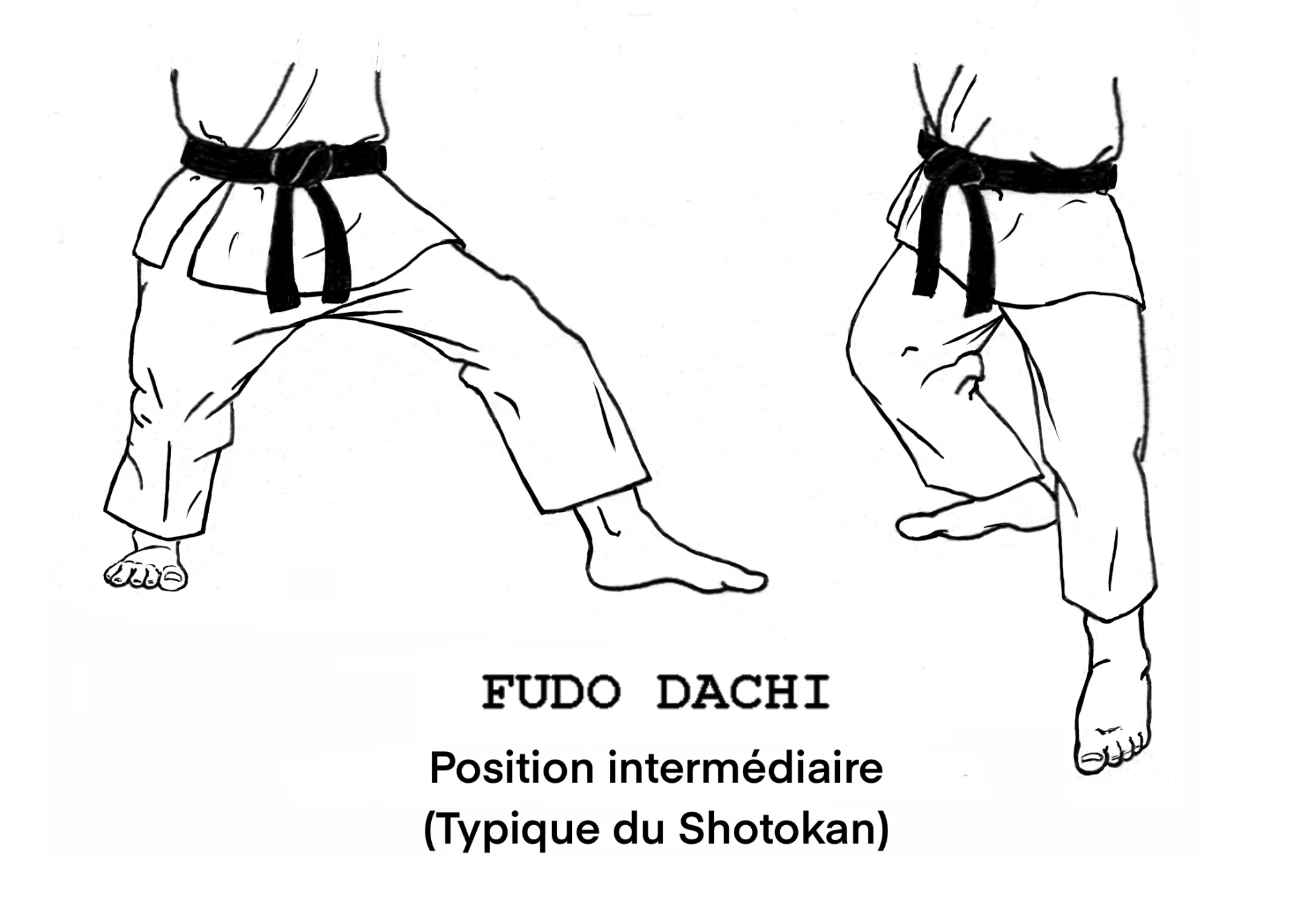 Les Positions au Karaté : DACHI – USMC KARATE